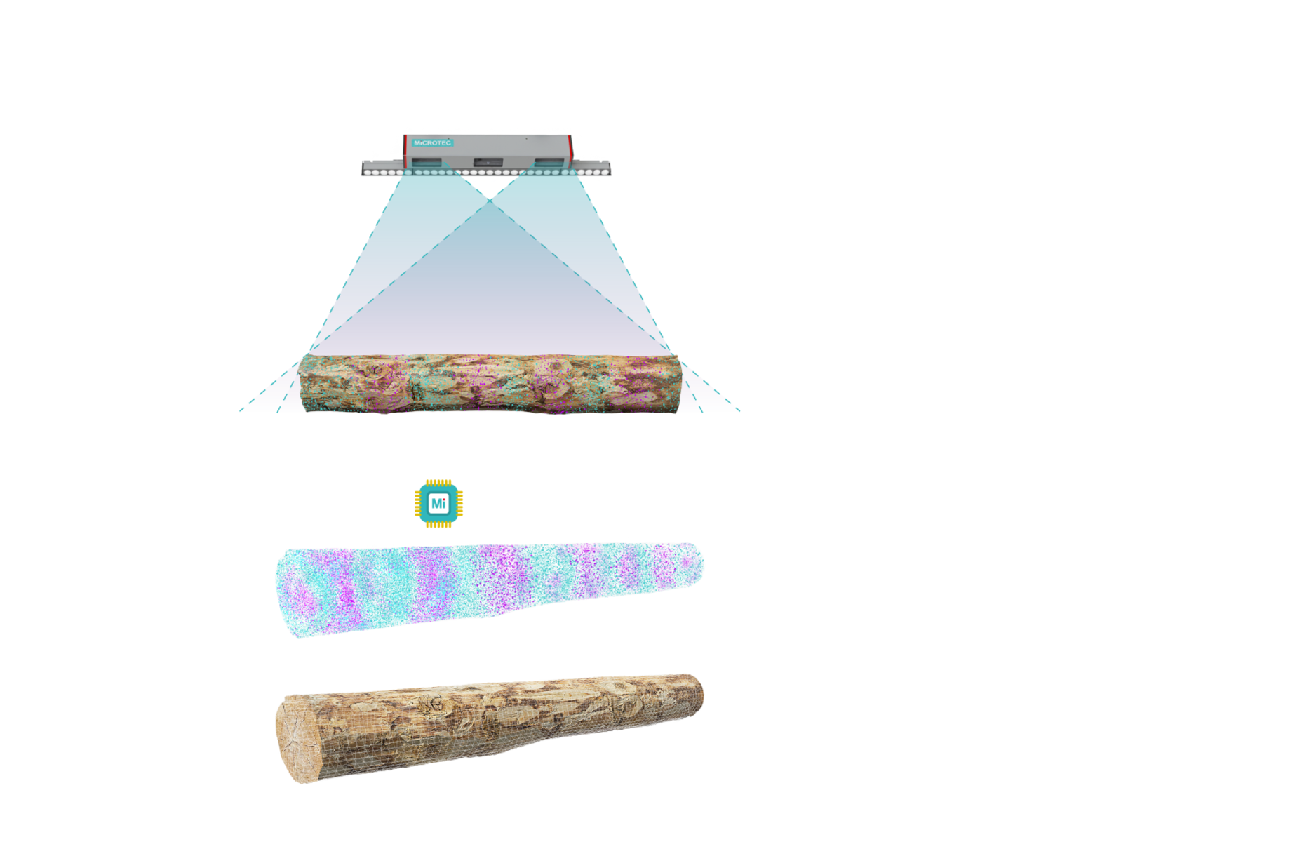 MiCROTEC - One Eye Sees. Two Eyes Deliver ROI.